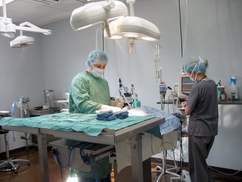 Tour - Vet in Athens | Town & Country Animal Hospital